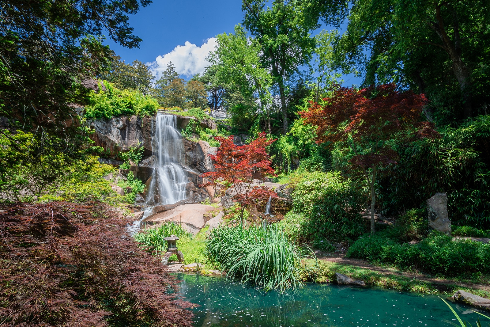 Maymont Park: Your Ultimate Guide to Richmond’s 100-Acre Wonderland ...